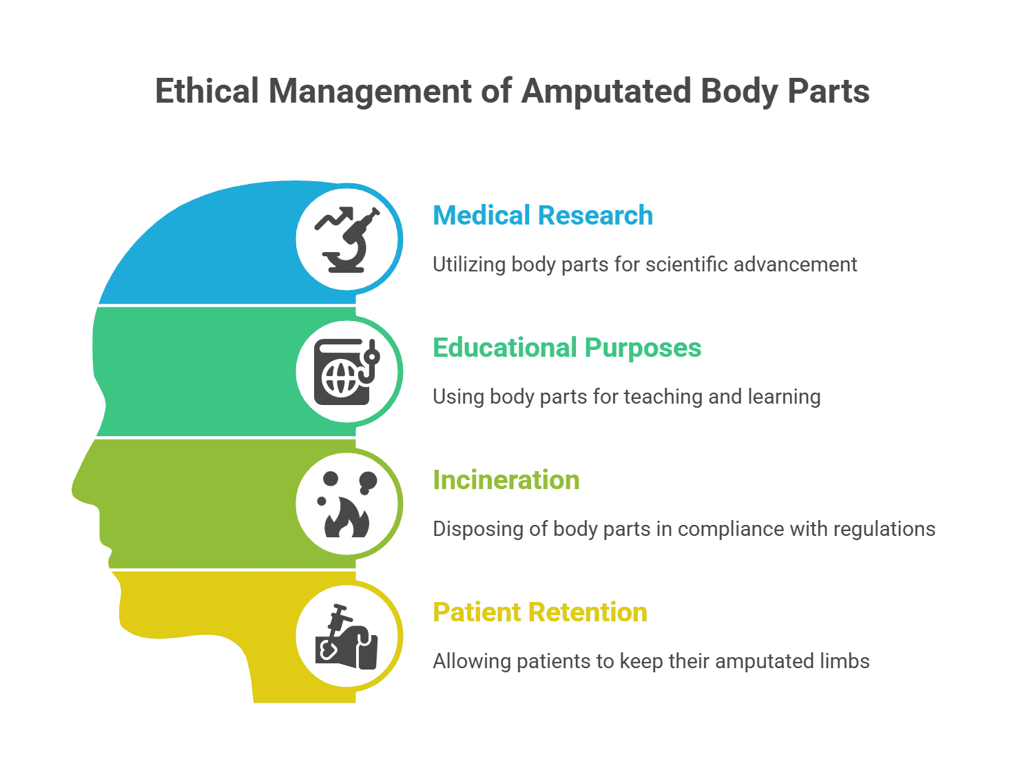 What Do Hospitals Do with Amputated Body Parts?